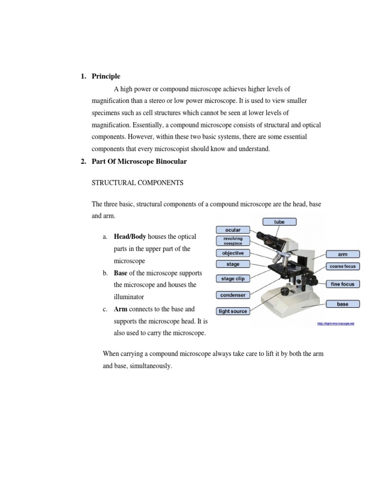 Microscope | PDF | Microscopy | Optics