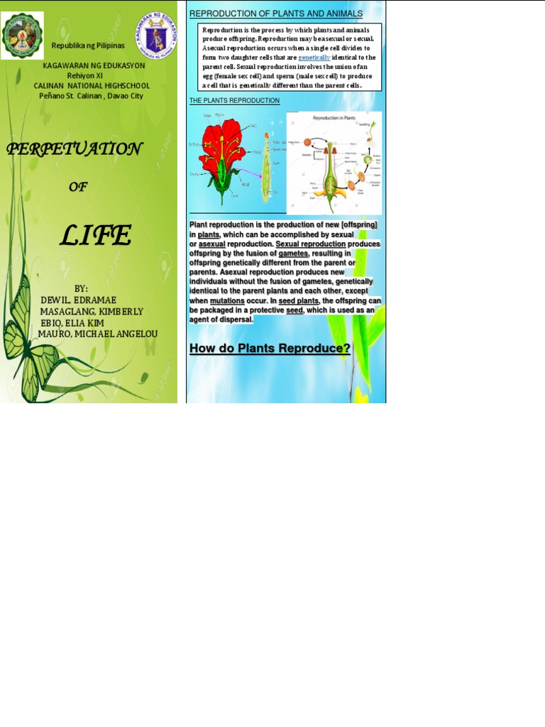 Perpetuation: How Do Plants Reproduce? | PDF | Science & Mathematics