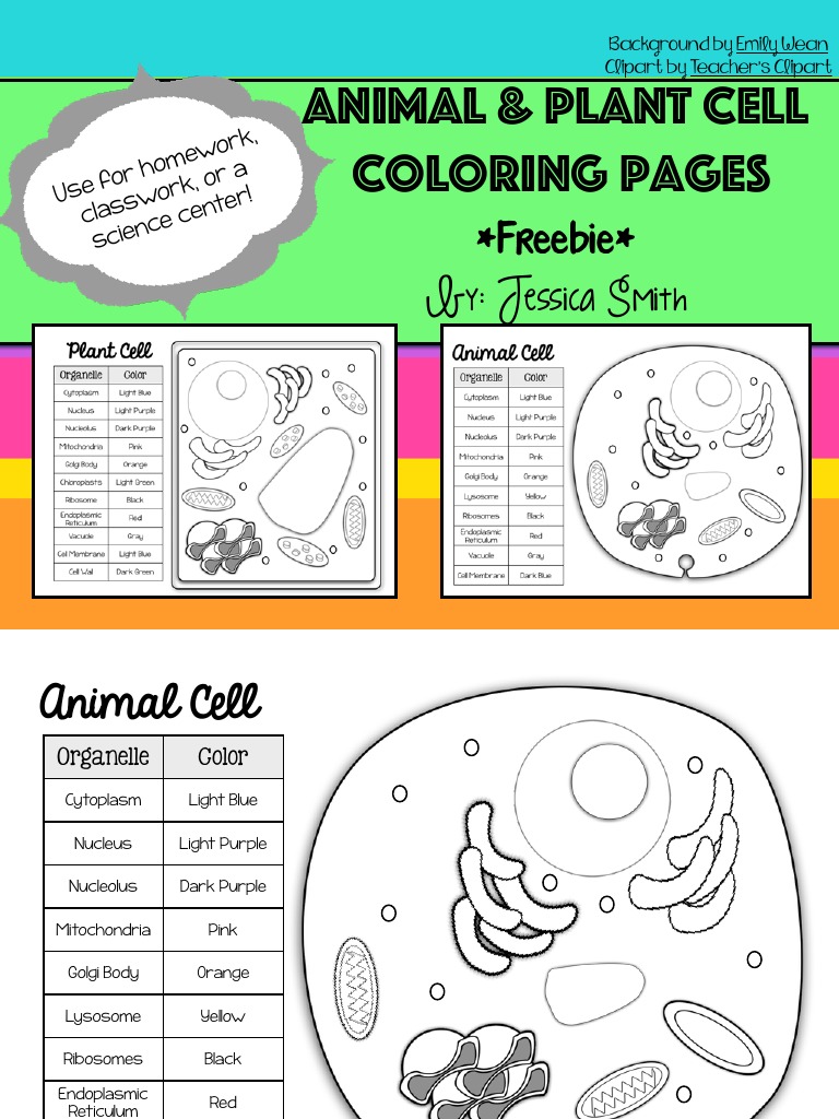 Animal and Plant Cell Match and Color Pages Freebie | PDF