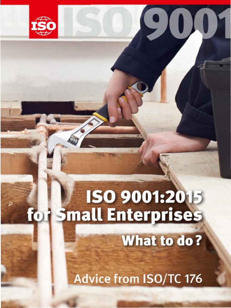 ISO 9001:2015 Guide for Small Businesses | PDF