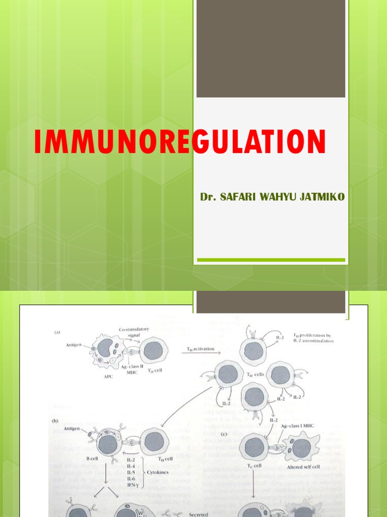 Immunoregulation: Dr. Safari Wahyu Jatmiko | PDF | T Helper Cell | T Cell