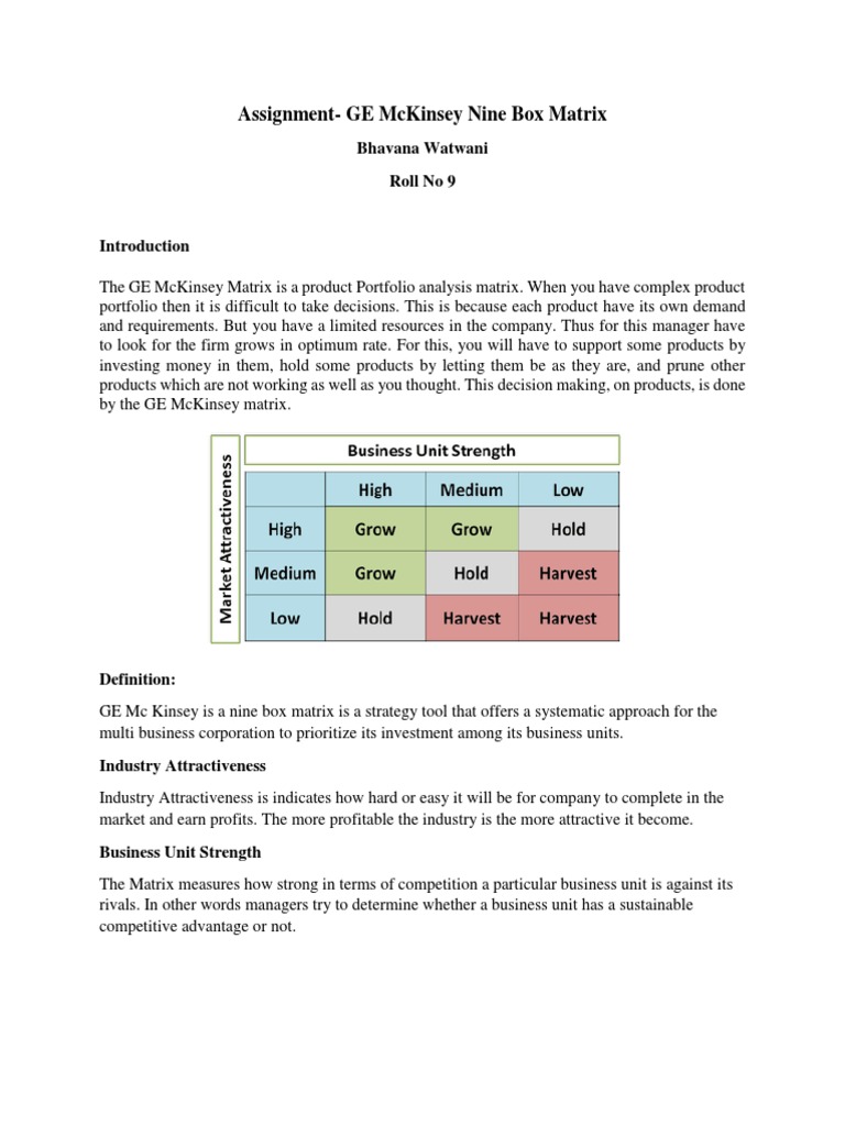 Assignment GE Mckinsey | PDF | Brand | Retail