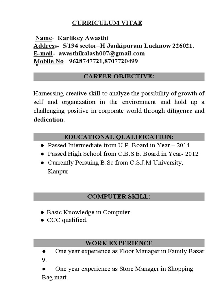 Kartikey Awasthi CV PDF | PDF