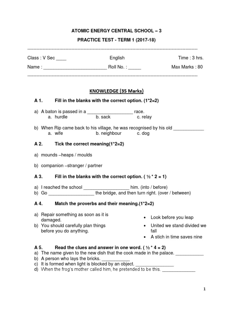 Aecs Class 5 Practice Test Term1 Eng17 | PDF