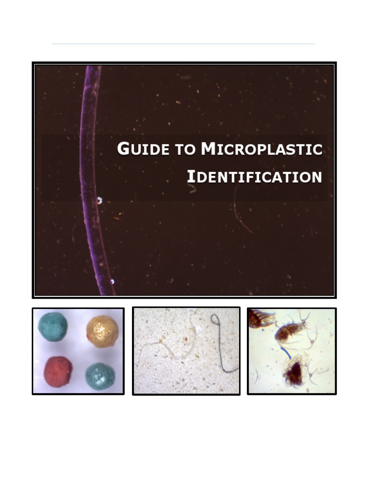 Microplastic Identification Guide | PDF | Fibers | Filtration