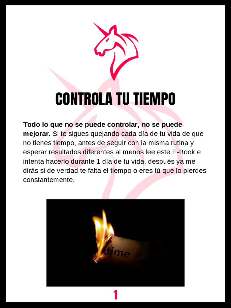 HOLY11.Controla Tu Tiempo | PDF