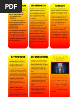 Clenxol F | PDF | Drogas | Farmacología