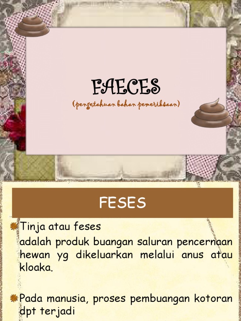FESES | PDF