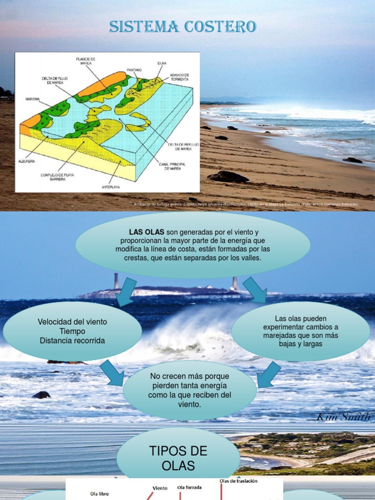 Ambiente Costero | PDF | Costa | Océanos