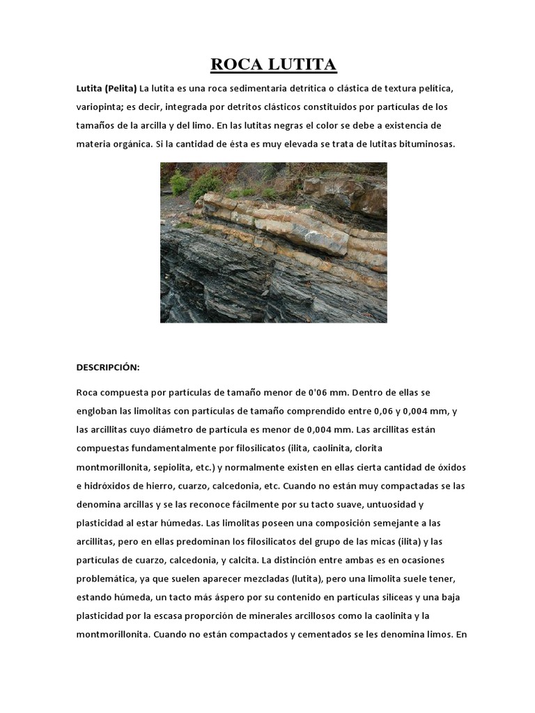 Roca Lutita | PDF | Roca clástica | Arcilla