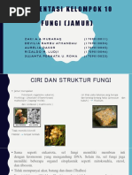 Ciri-Ciri dan Pengertian Khamir | PDF