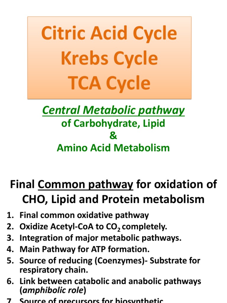 TCA Cycle by J. Boye | PDF | Citric Acid Cycle | Diet & Nutrition