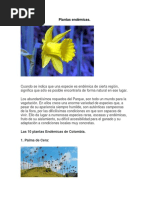 10 Plantas Endémicas de RD con Fotos | PDF | República Dominicana