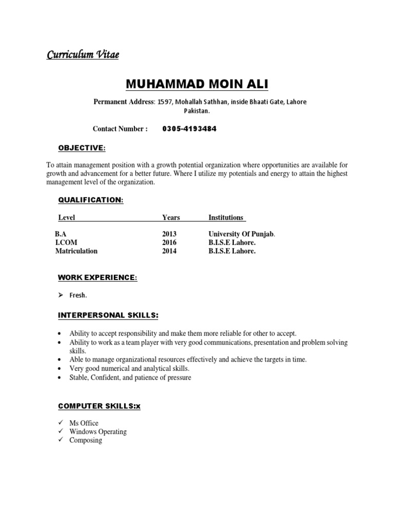 Curriculum Vitae: Muhammad Moin Ali | PDF