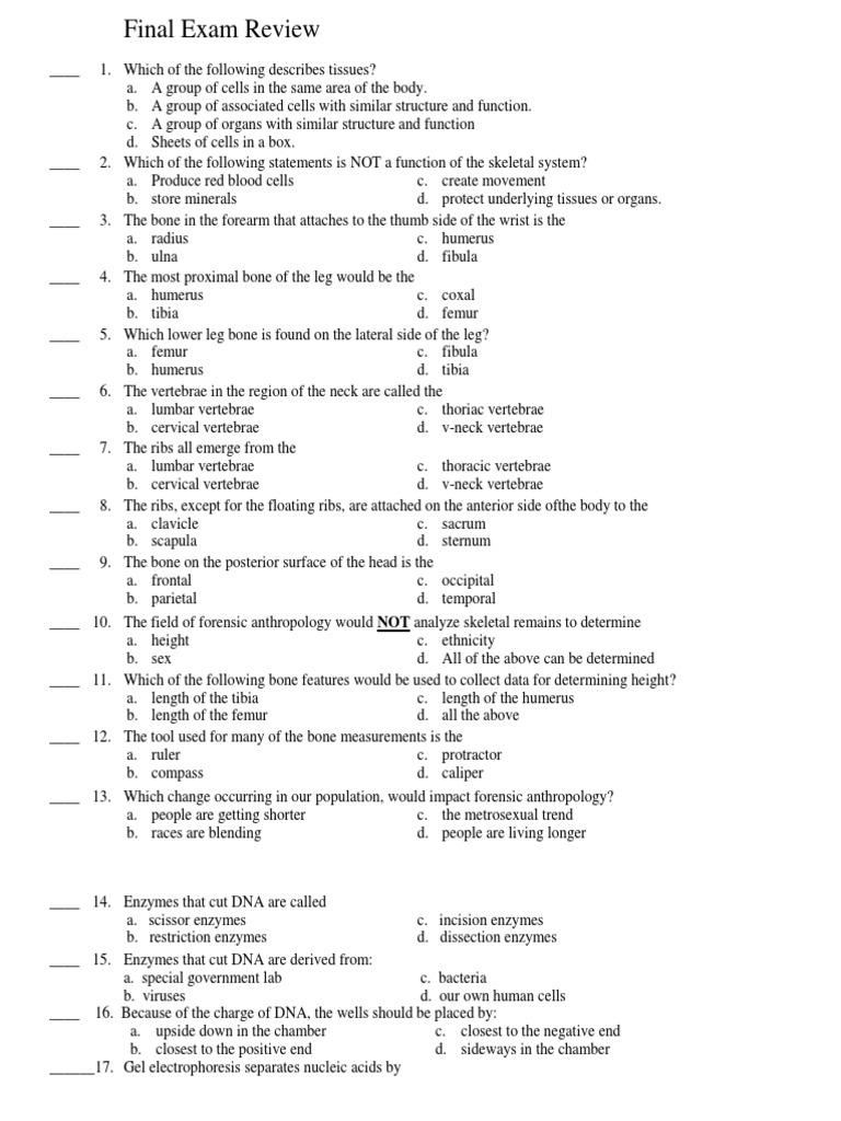 Review Final Exam HBS | PDF | Artery | Kidney