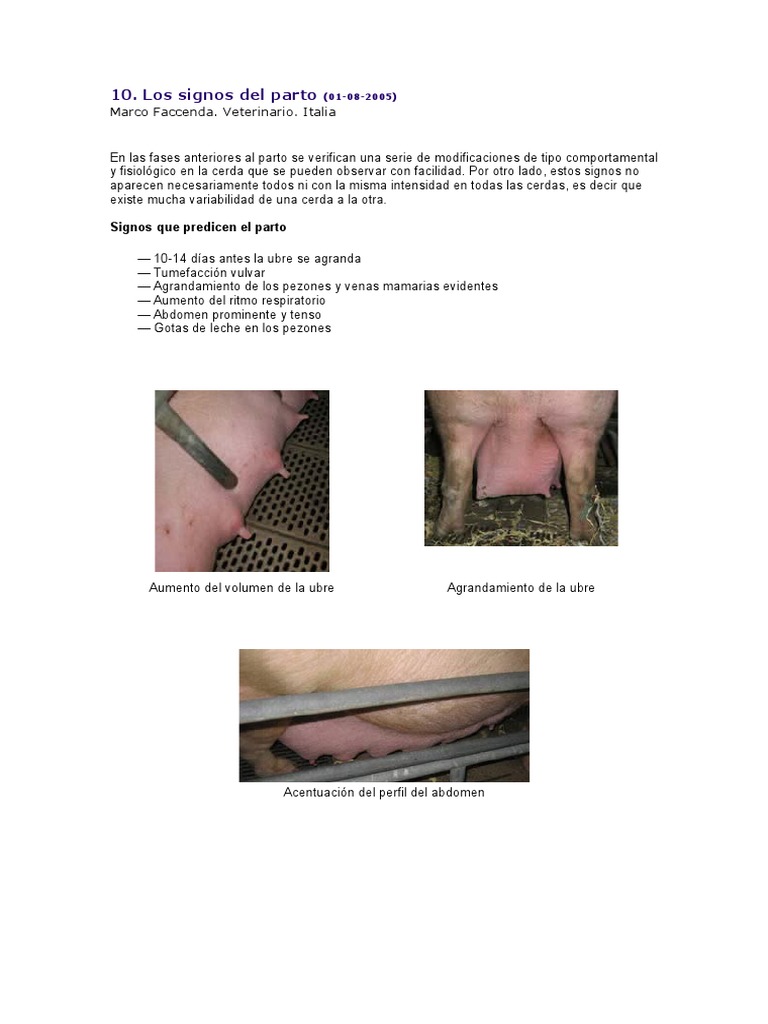 Los Signos Del Parto | PDF | Parto | Medicina CLINICA