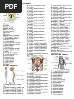 Los 206 Huesos | PDF | Vértebra | Sistema esquelético