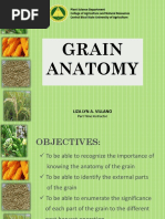Flowchart of The Rice Production Process | PDF | Rice | Grain