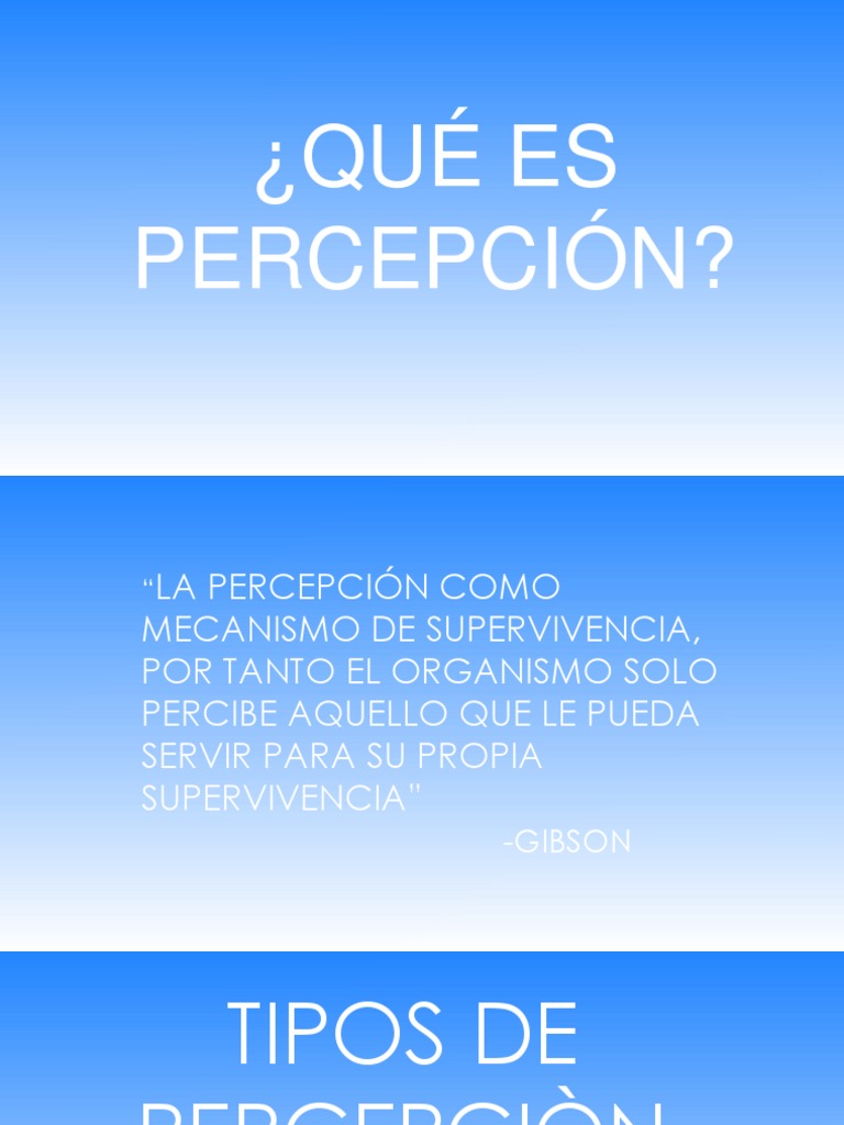 Qué Es Percepción | PDF