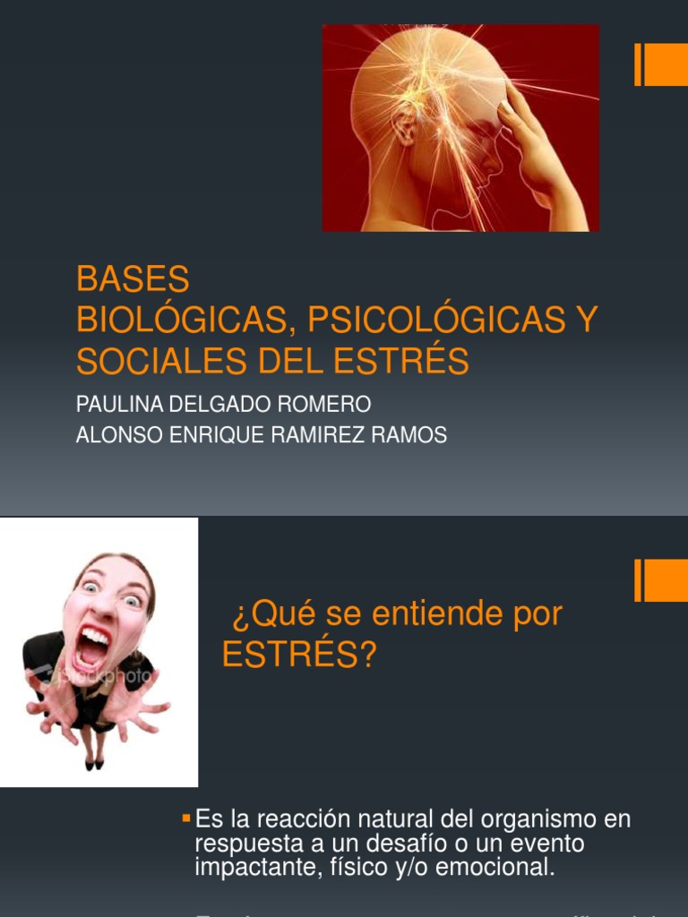 Bases Biologicas y Sociales Del Stress | PDF | Estrés (biología ...