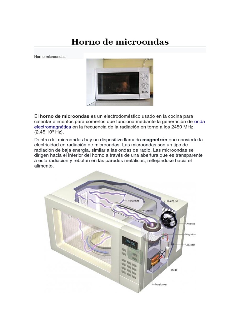 Horno de Microondas | PDF | Electromagnetismo | Física