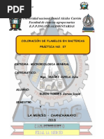 CÓSMIDOS | PDF | Plásmido | Biotecnología