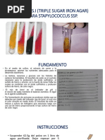 Prueba de Molish | PDF | Carbohidratos | Almidón