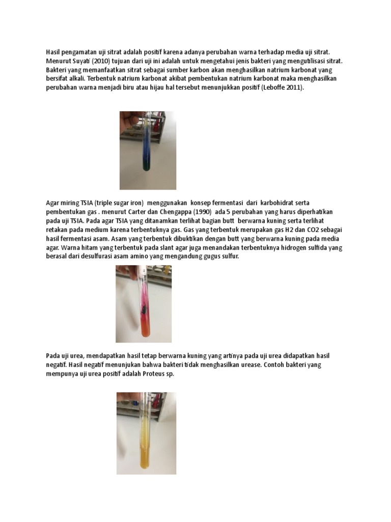 Urea, Sitrat, TSIA | PDF