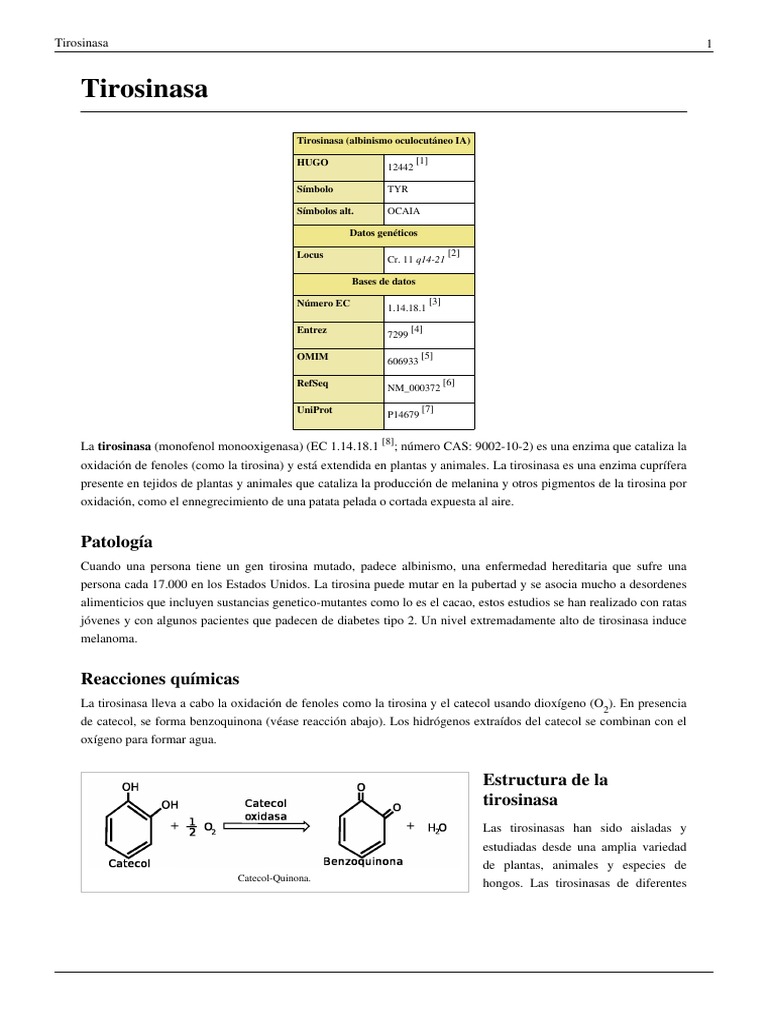Tirosinasa | PDF | Catalizadores | Enzima