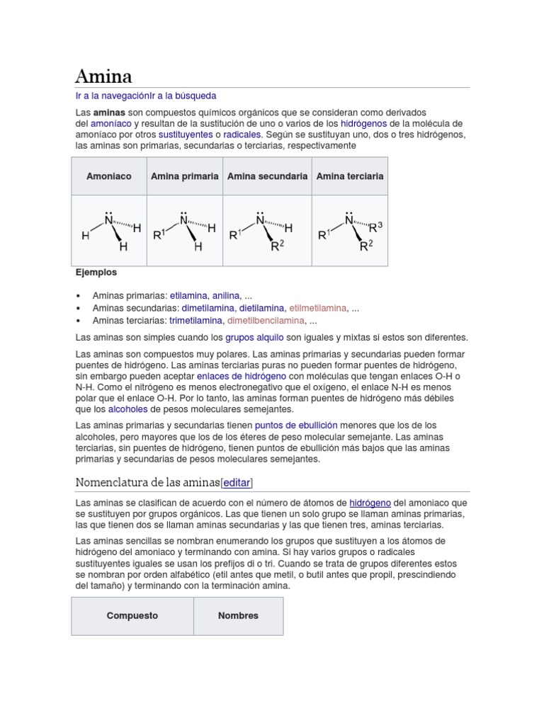 Amina | PDF | Amida | Amina