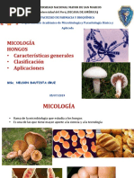 Prospecto NIFURYL | PDF | Infección del tracto urinario ...