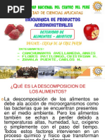 Descomposición de Alimentos: Causas y Señales | PDF