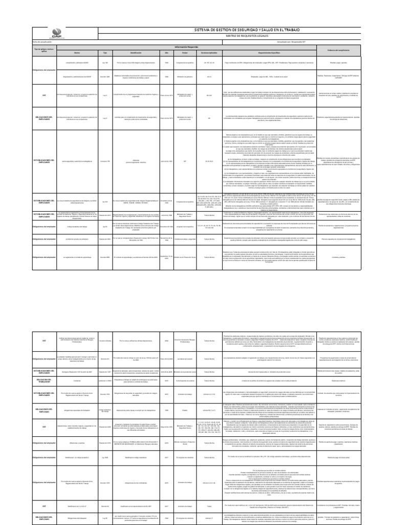 Matriz de Requisitos Legales | PDF | Seguridad y salud ocupacional | Gobierno