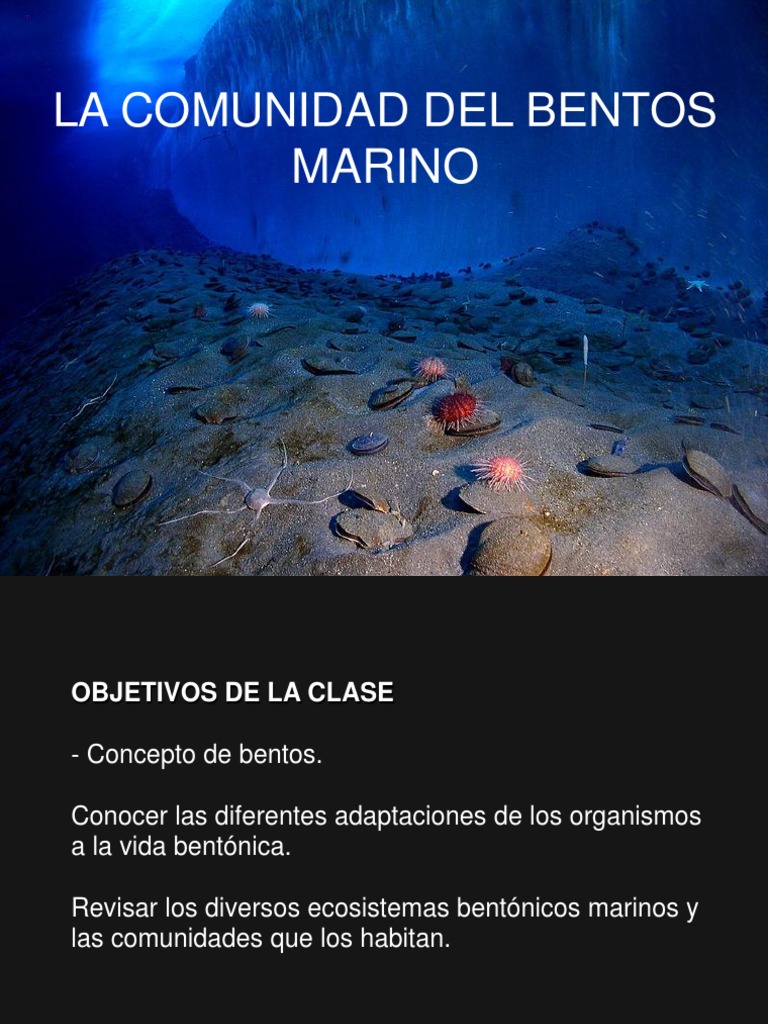 Comunidad y ecosistemas bentónicos marinos | PDF | Ecología de sistemas ...