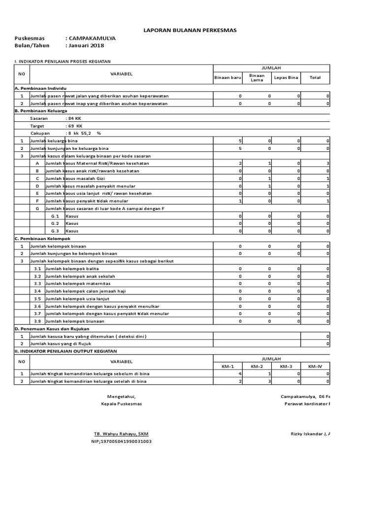 Laporan Bulanan PHN 2019 | PDF