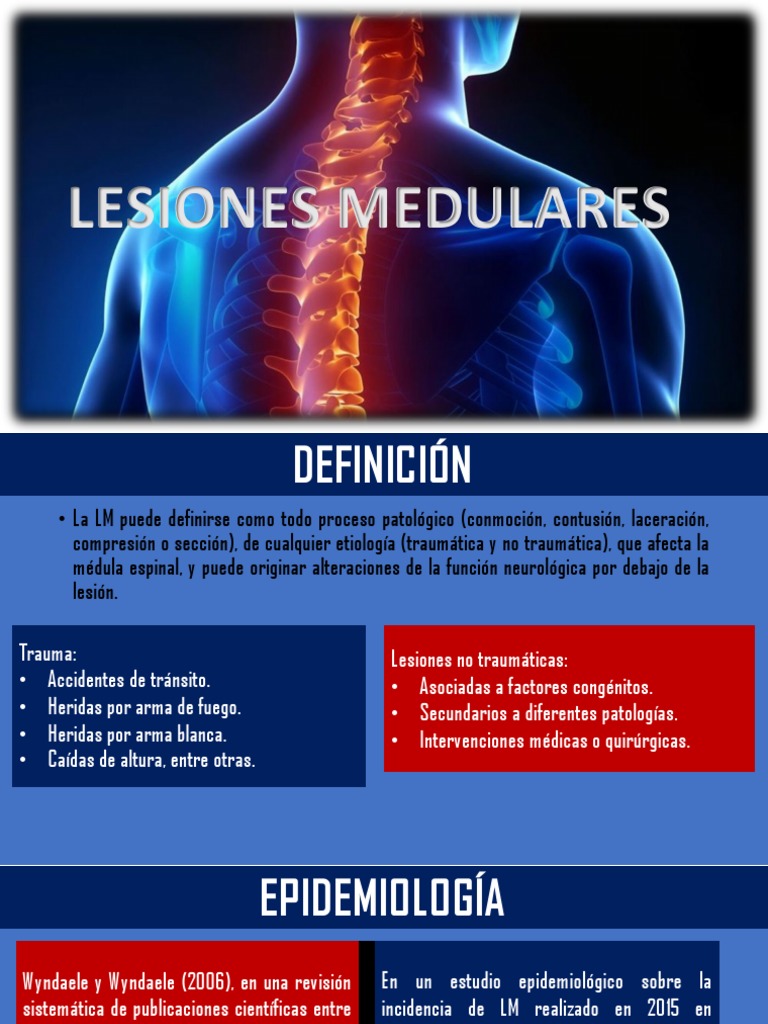 Lesión Medular | PDF | Lesión de la médula espinal | Especialidades Medicas