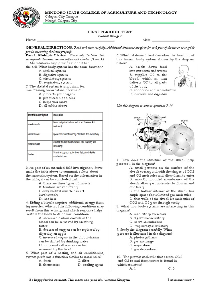 First Periodic Test Biology II | PDF | Human Body | Dominance (Genetics)
