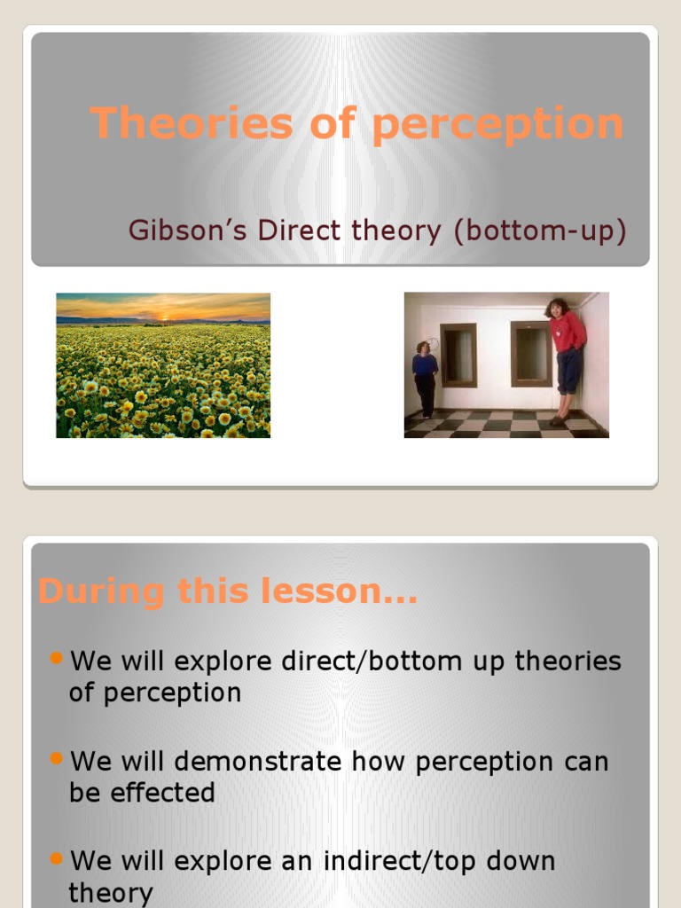 Gibson's Direct Theory of Perception Explained | PDF | Perception | Optics