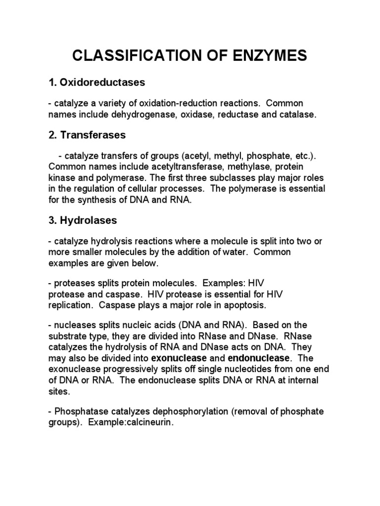 Classification of Enzymes1 | PDF | Enzyme | Dna