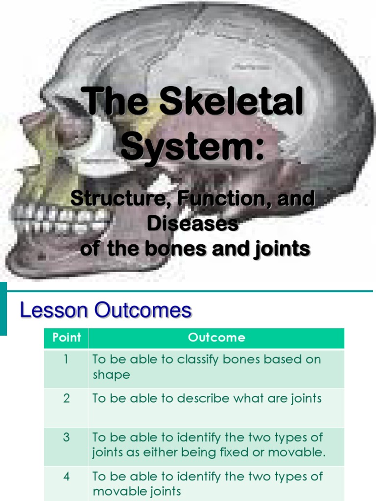 Grade 7 - Science - Joints | PDF | Skeleton | Joint