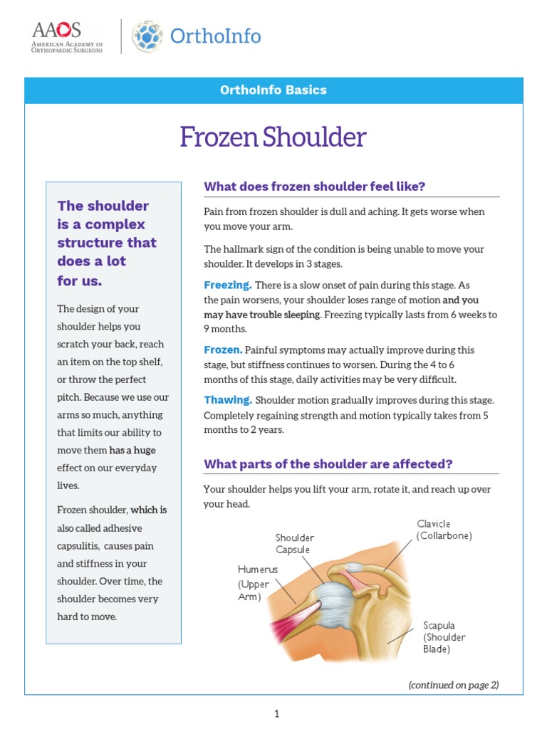 Frozen Shoulder: The Shoulder Is A Complex Structure That Does A Lot ...