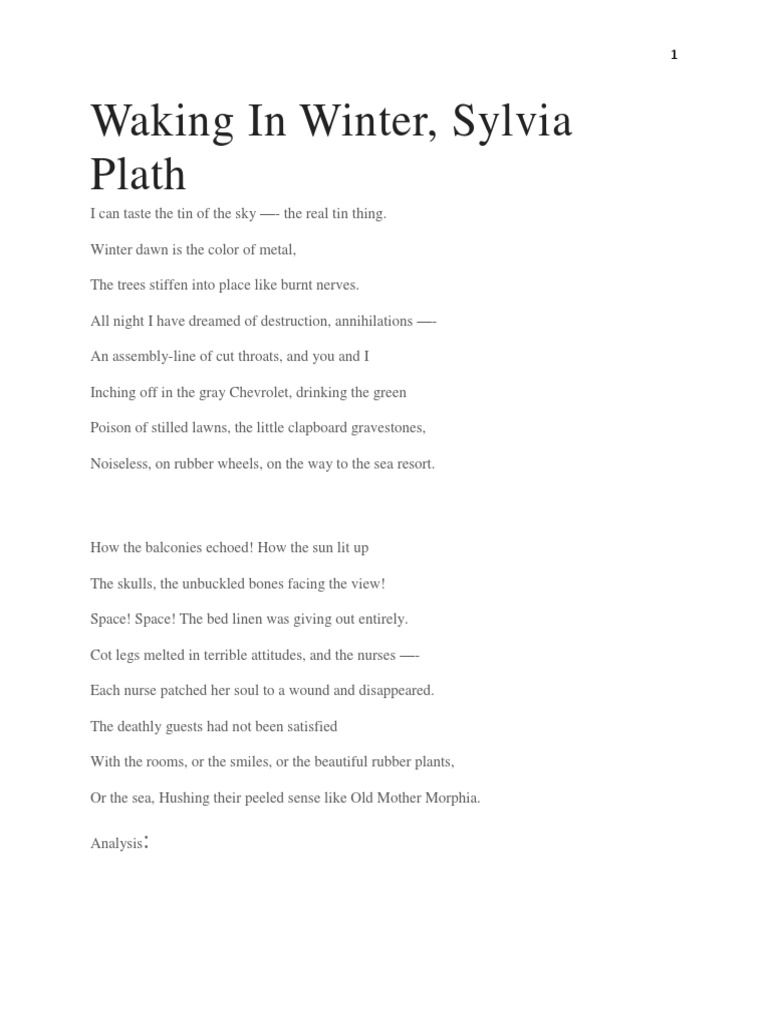 Waking in Winter, Sylvia Plath | PDF | Art | Poetry