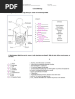 Urinary System For Grade 6 | PDF | Urinary System | Urine