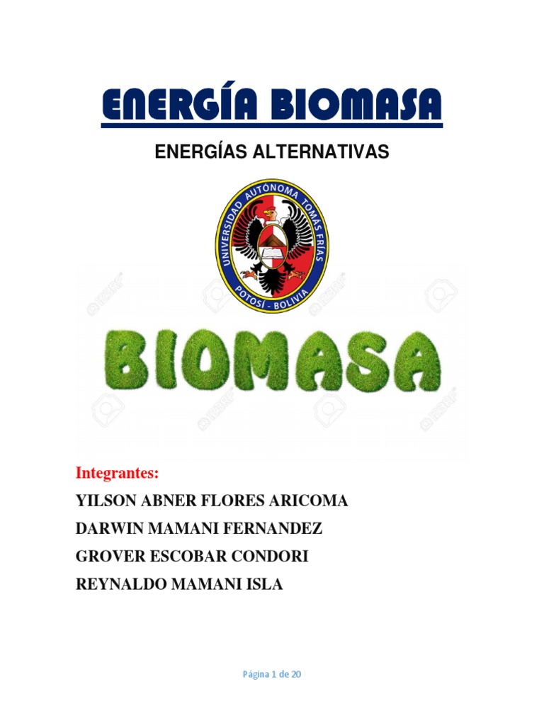 Energía Biomasa | PDF | Biomasa | Biocombustible