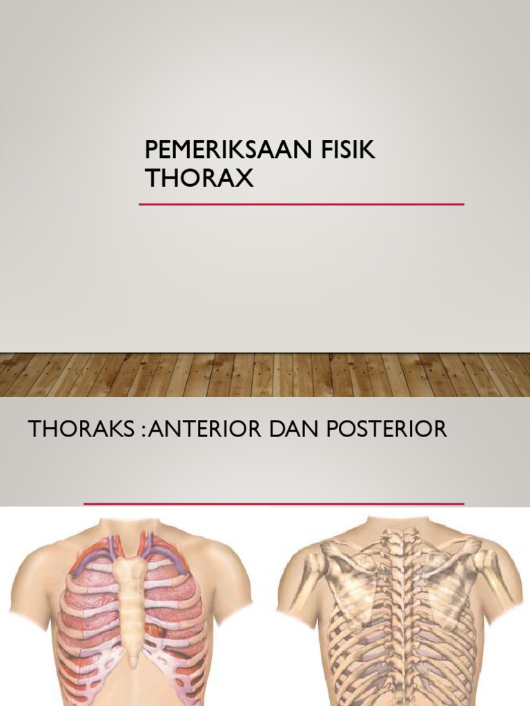 Pemeriksaan Fisik Thorax & Payudara | PDF