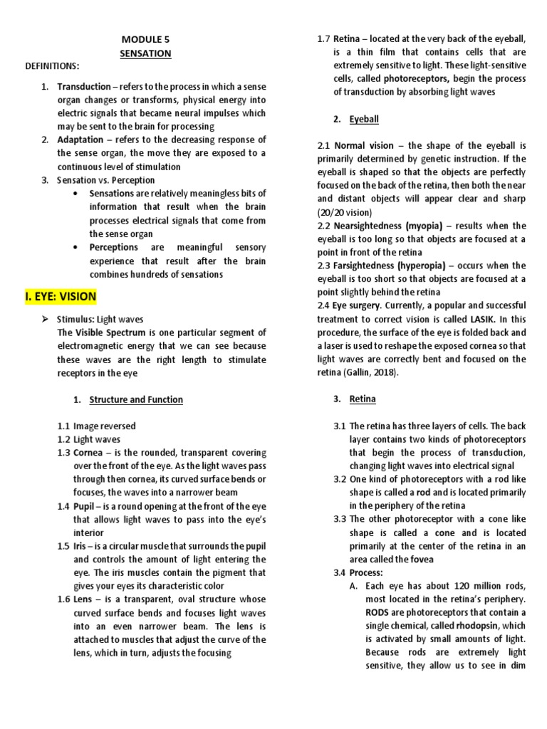 Sensation: I. Eye: Vision | PDF | Olfaction | Auditory System