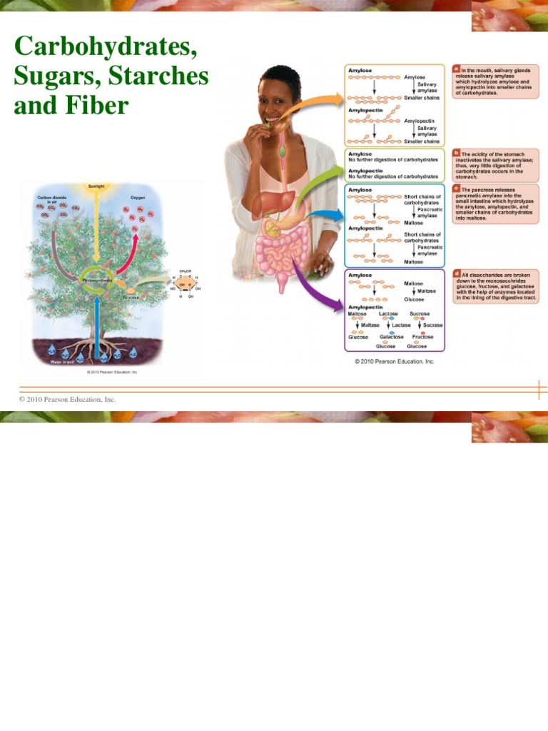 Carbohydrates, Sugars, Starches and Fiber: © 2010 Pearson Education ...