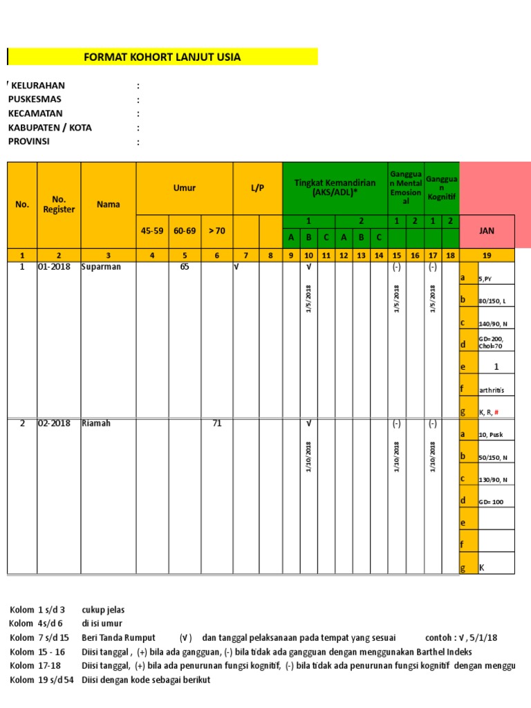 Format E-Kohort Lansia dan Pengisian Data | PDF