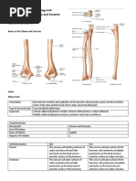 Forearm Supination Rom MMT | PDF