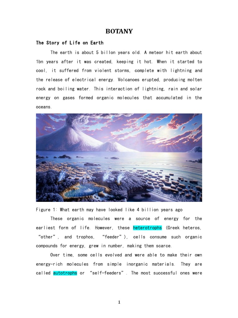 Botany 101 | PDF | Plants | Earth